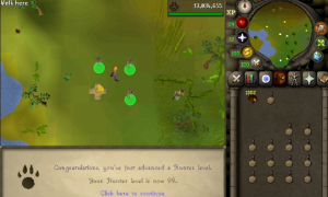 OSRS Hunter Guide 2025: Complete 1-99 Methods & Red Chinchompa ...